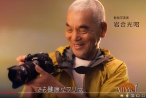 AllWell（オールウェル）キャットフードの口コミ評価、評判、おすすめ商品を徹底解剖！ | キャットフード勉強会